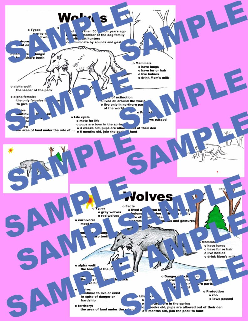 Close Reading: Wolves by Gail Gibbons | Made By Teachers