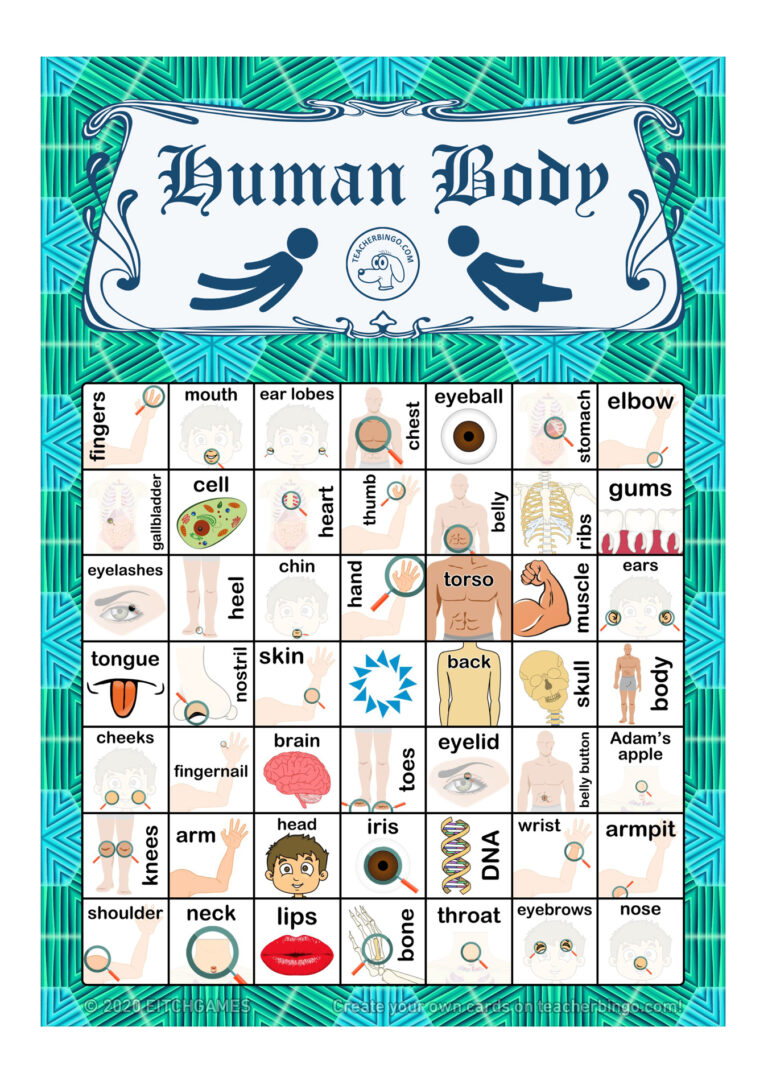 Human Body Parts Bingo 7x7 (100 pages + call sheet) | Made By Teachers