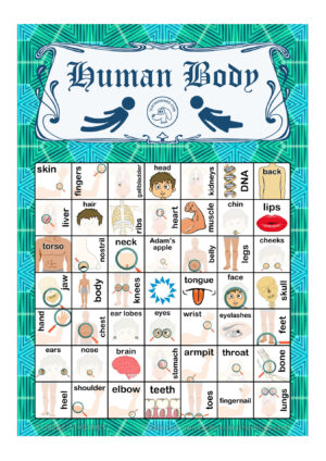 Human Body Parts Bingo 7x7 (100 pages + call sheet) | Made By Teachers
