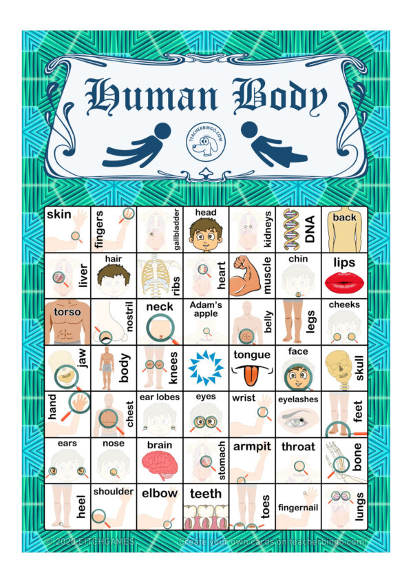 Human Body Parts Bingo 7x7 (100 pages + call sheet) | Made By Teachers