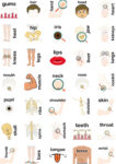 Human Body Parts Bingo 7x7 (100 pages + call sheet) | Made By Teachers