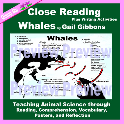 Close Reading: Whales by Gail Gibbons | Made By Teachers