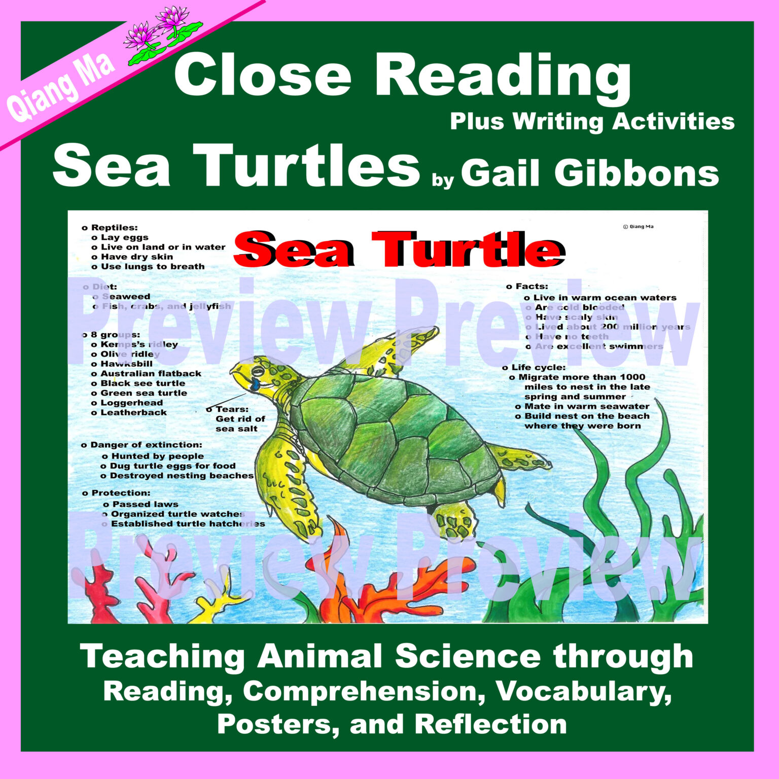 Close Reading: Sea Turtles by Gail Gibbons | Made By Teachers
