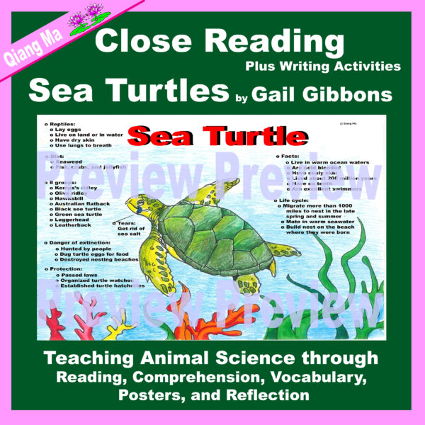Close Reading: Sea Turtles by Gail Gibbons | Made By Teachers