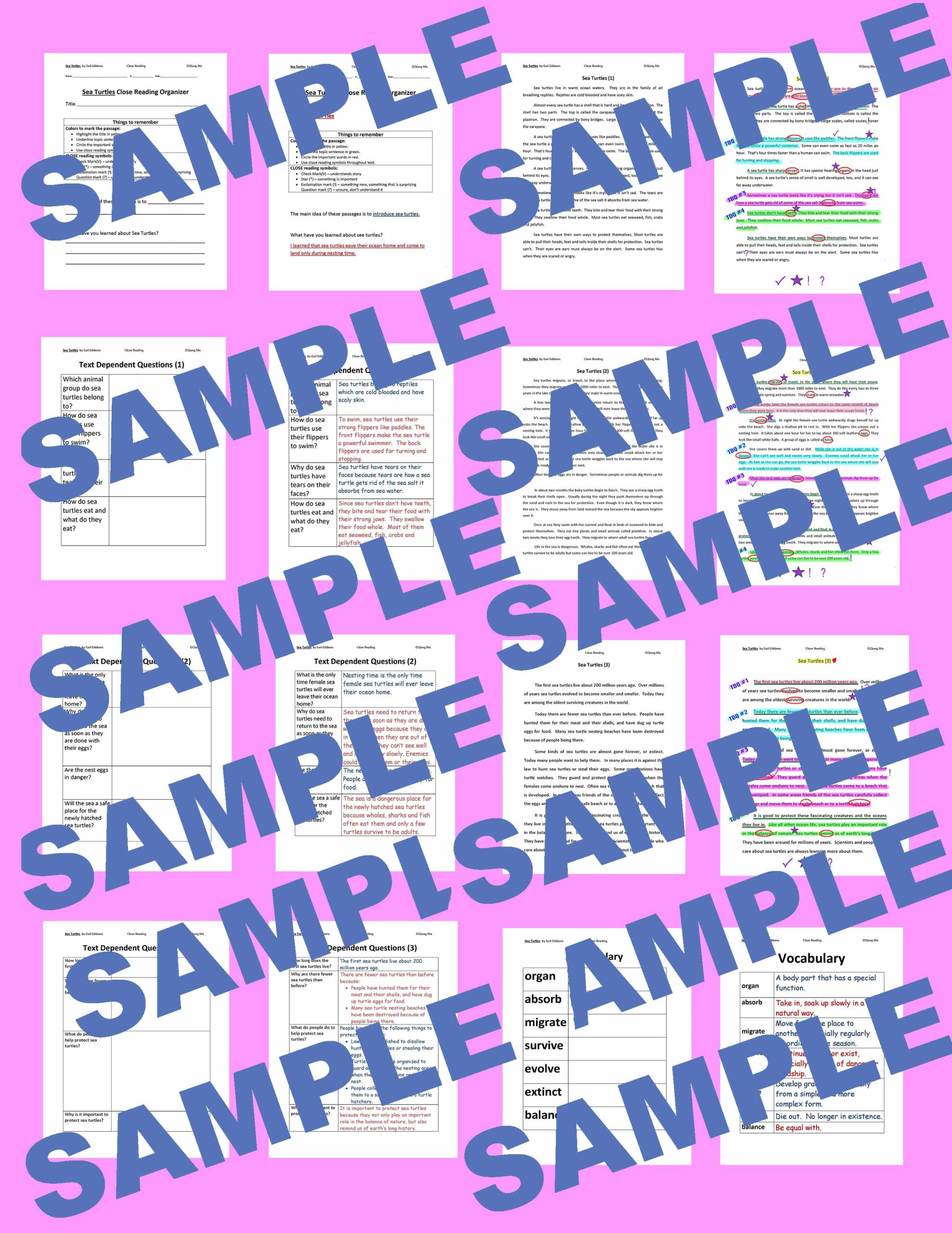 Close Reading: Sea Turtles by Gail Gibbons | Made By Teachers