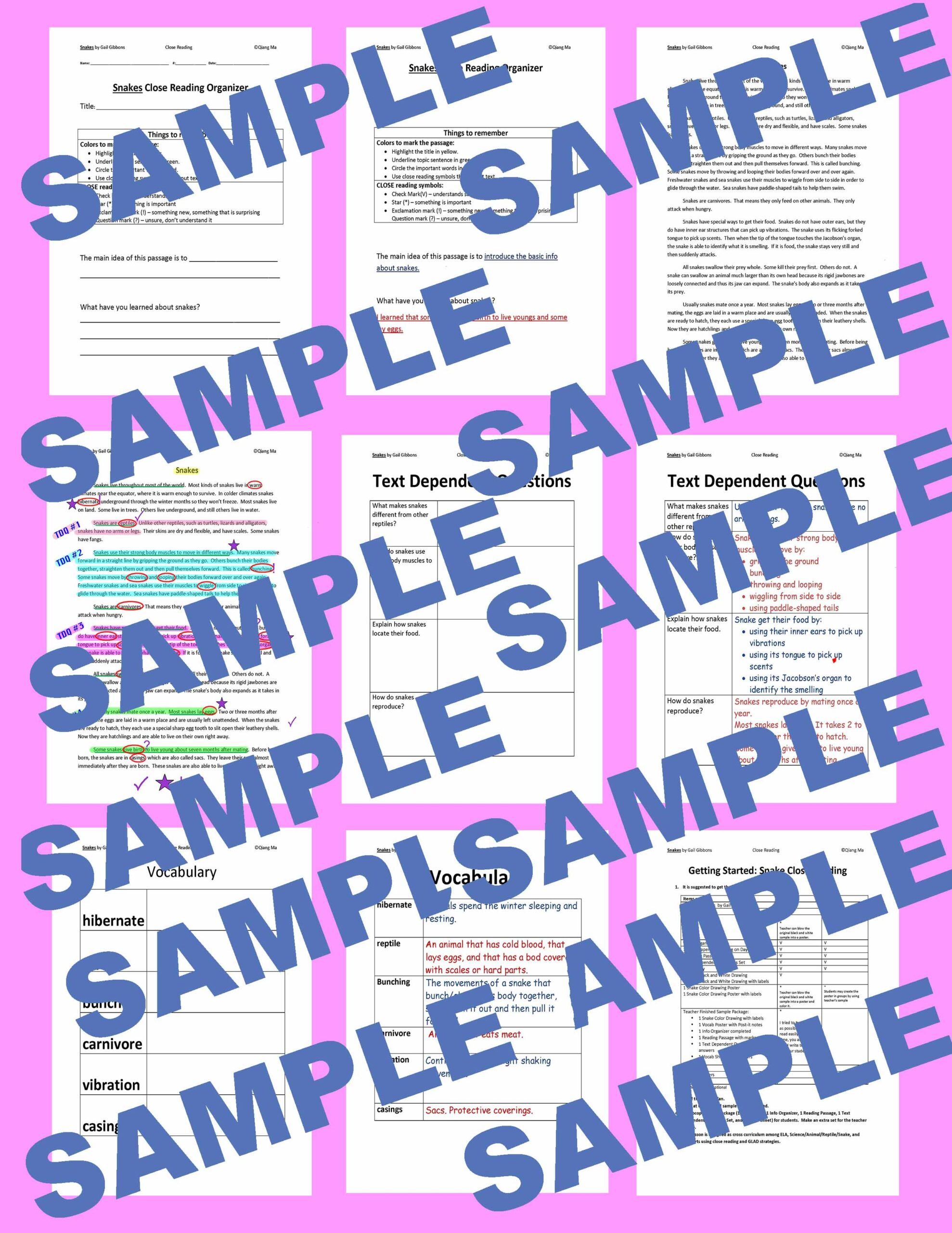 Close Reading: Snakes by Gail Gibbons | Made By Teachers