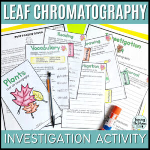 Leaf Chromatography Chlorophyll in Plants Investigation Booklet | Made ...