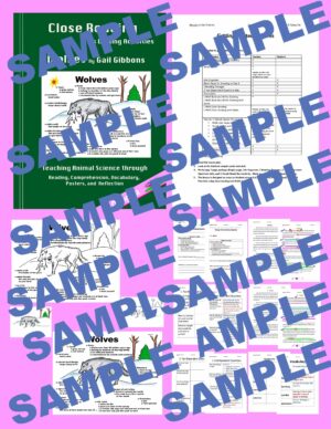 Close Reading: Animal Unit | Made By Teachers