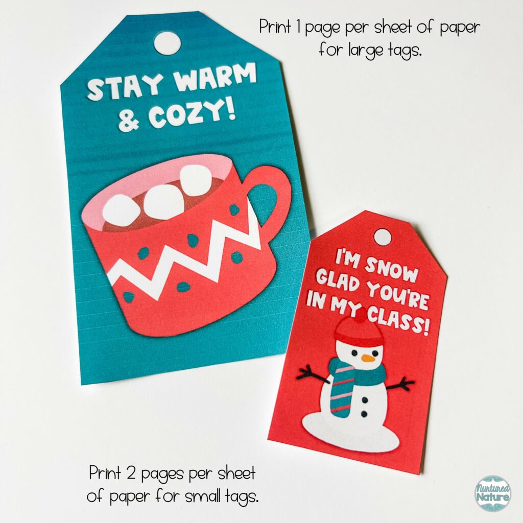 Christmas Gift Tags - Editable Tags for Student Gifts from Teacher ...