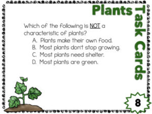 Parts of a Plant, Plants Needs, Photosynthesis and More BOOM cards ...