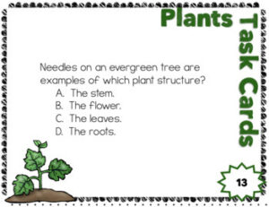 Parts of a Plant, Plants Needs, Photosynthesis and More BOOM cards ...