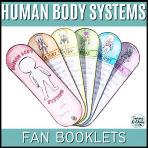The Human Body Systems Activities Fans Project | Made By Teachers