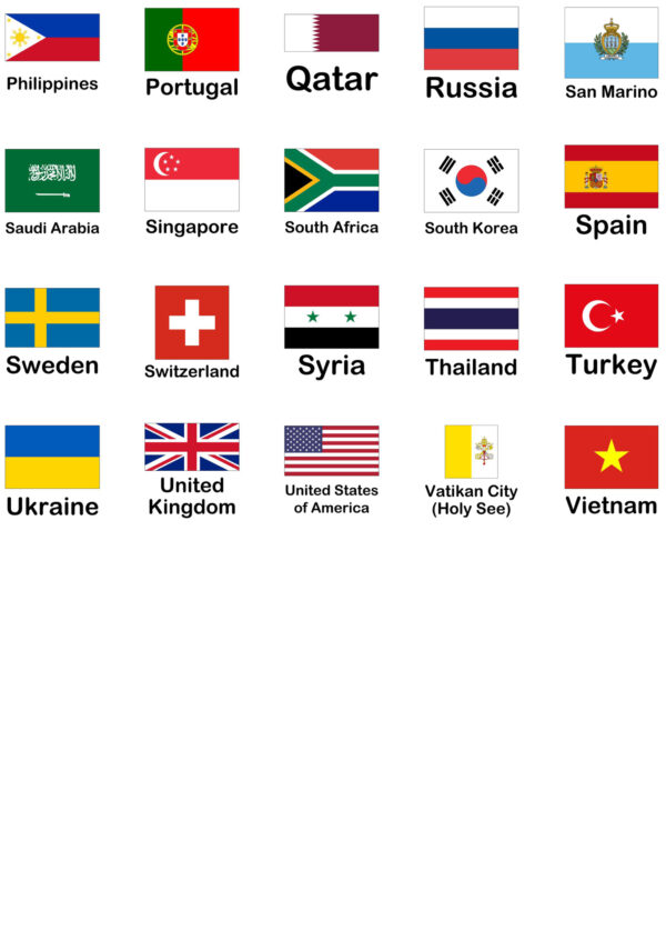 National Flags Bingo 5x5 (5 pages + call sheet) | Made By Teachers