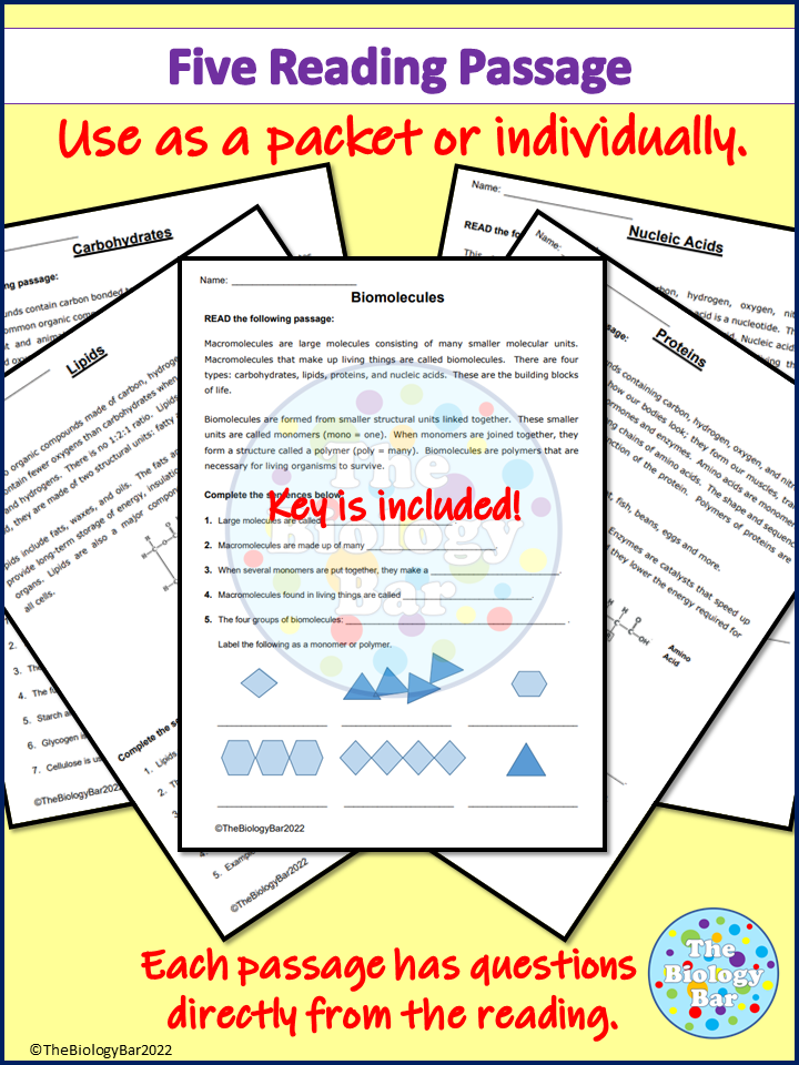 Biomolecule Reading Passages Differentiated and Digital | Made By Teachers