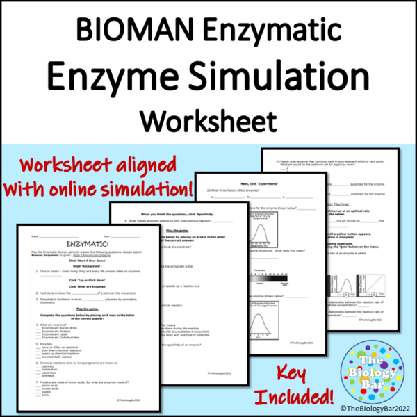 Enzyme Worksheet for Bioman Enzymatic Activity includes Digital Format ...