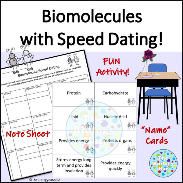 Biomolecules Macromolecules Speed Dating Fun Activity | Made By Teachers