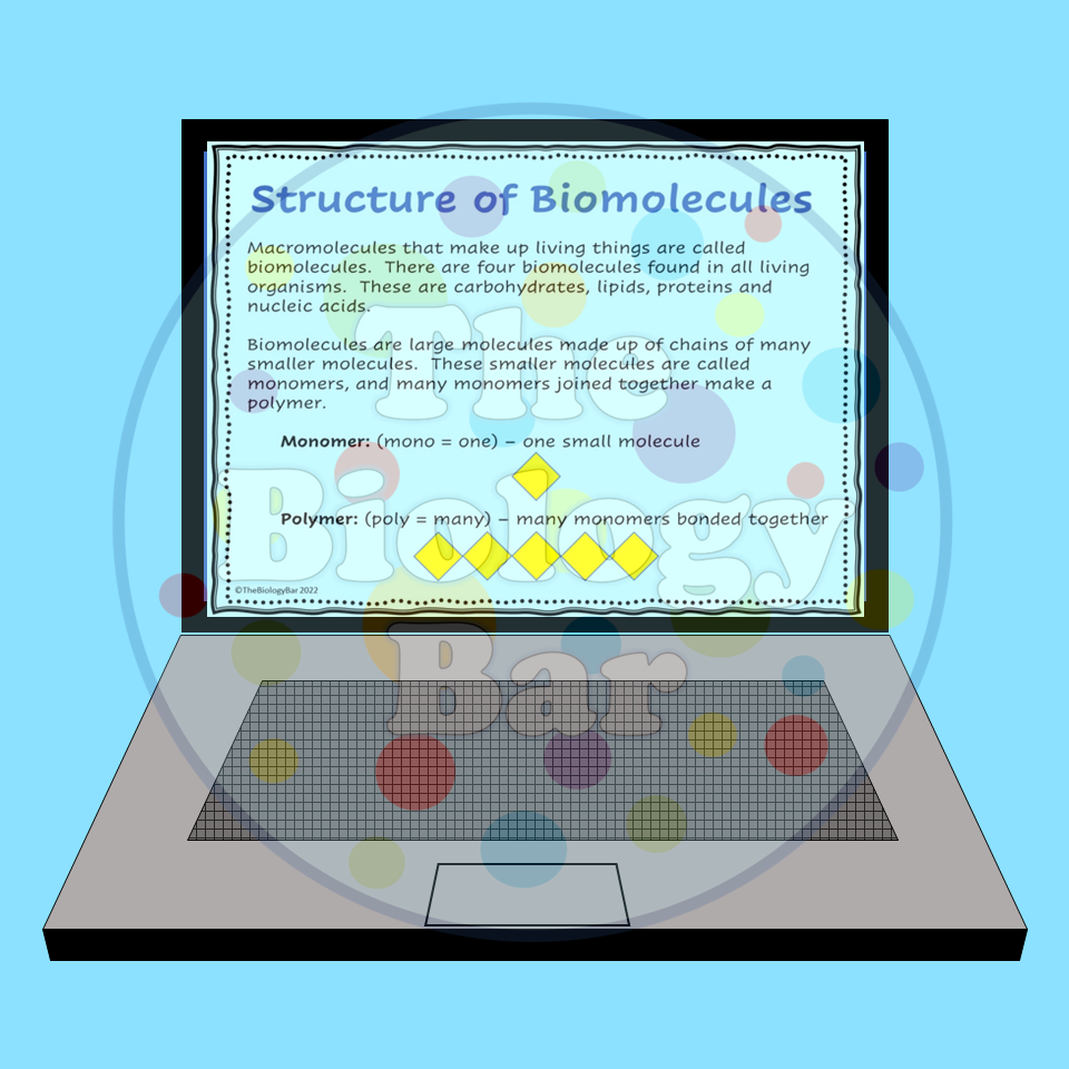 Biomolecules Monomers Polymers Interactive PPT and Worksheet | Made By ...