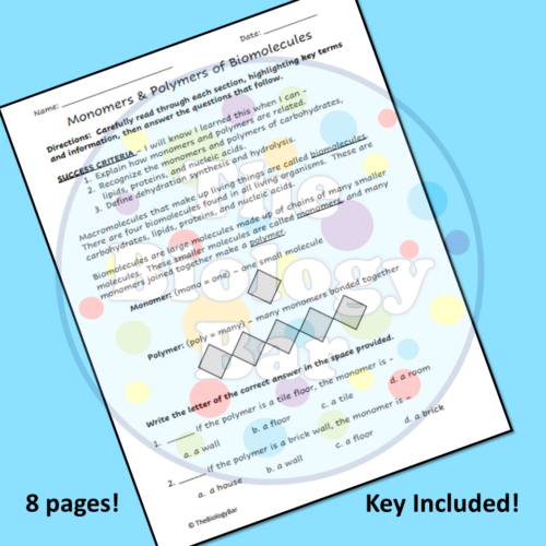 Biomolecules Monomers Polymers Interactive PPT and Worksheet | Made By ...