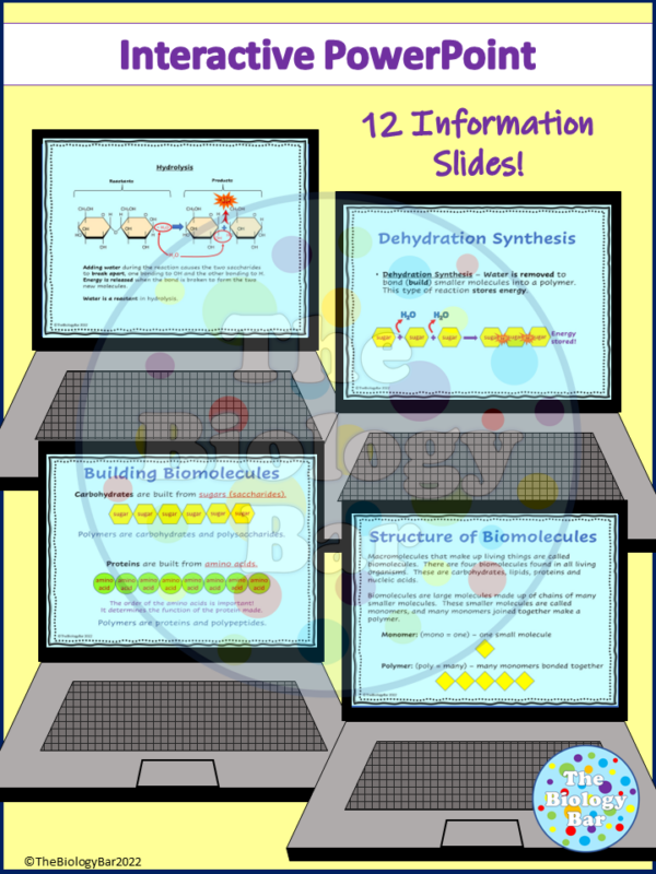 Biomolecules Monomers Polymers Interactive PPT and Worksheet | Made By ...