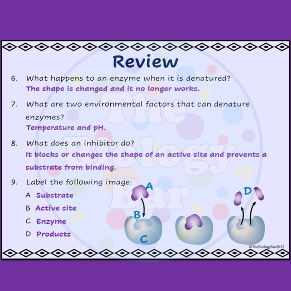 Enzyme Notes PPT and Student Notes | Made By Teachers