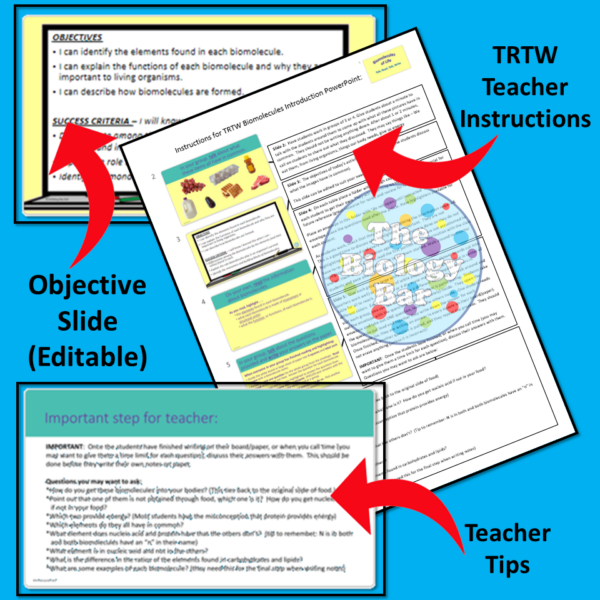 Talk Read Talk Write Biomolecules Student Made Notes | Made By Teachers