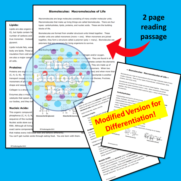 Talk Read Talk Write Biomolecules Student Made Notes | Made By Teachers