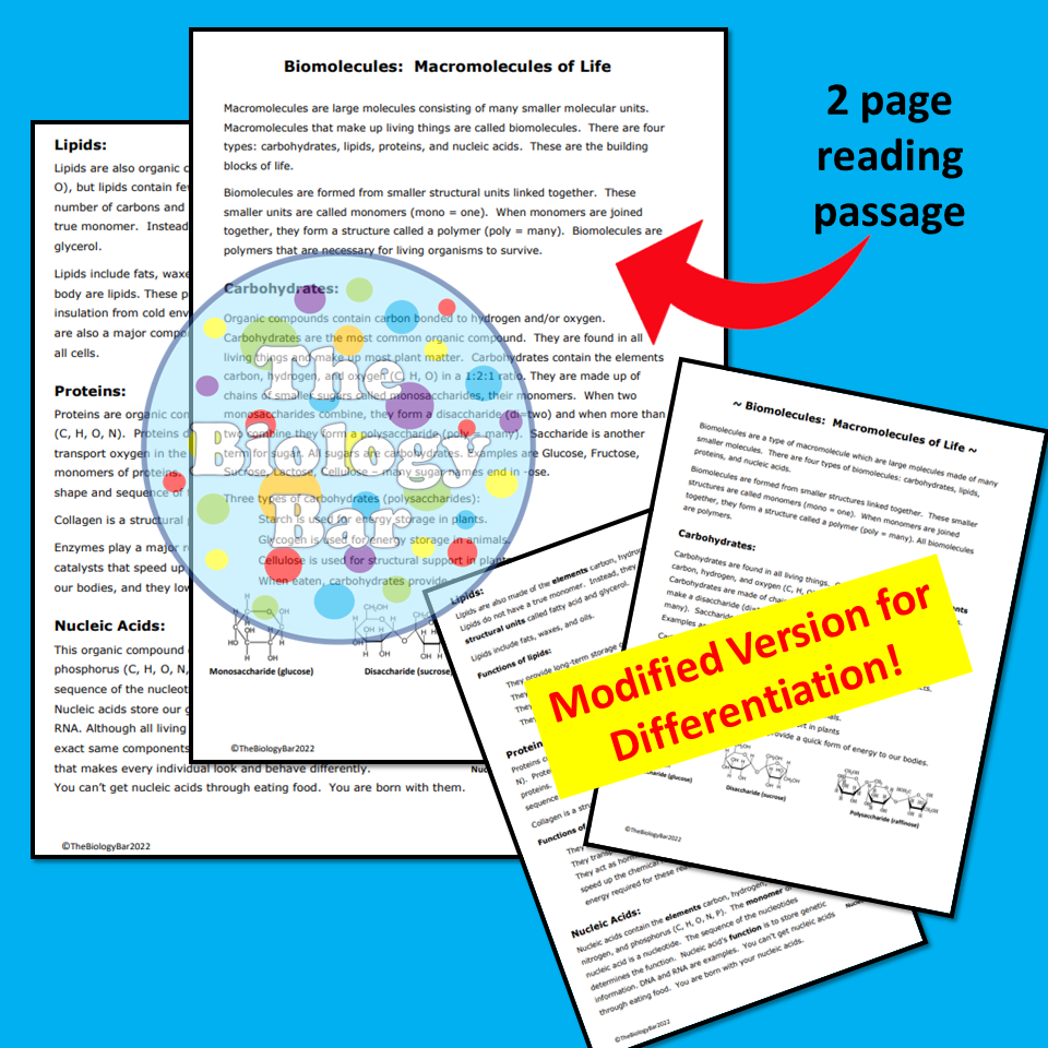 Talk Read Talk Write Biomolecules Student Made Notes | Made By Teachers