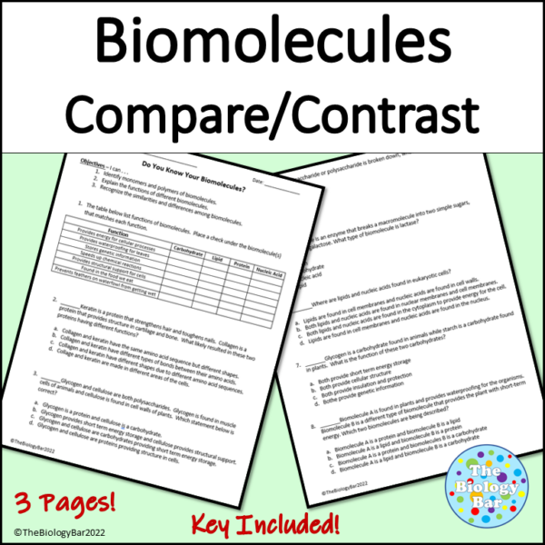 Biomolecules Compare and Contrast Worksheet with Digital Format | Made ...