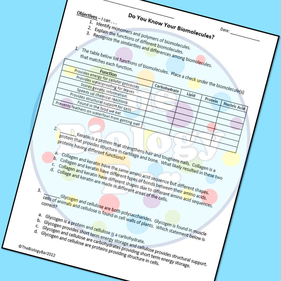 Biomolecules Compare and Contrast Worksheet with Digital Format | Made ...