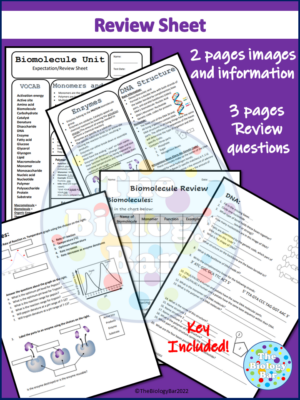 Biomolecules with Enzymes & DNA Review and Test | Made By Teachers