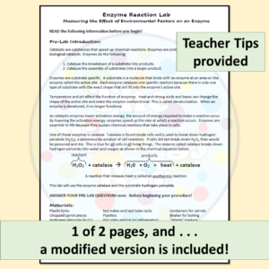 Enzyme Lab Carrot and Catalase Differentiated and CER option | Made By ...
