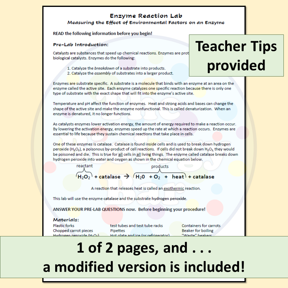 Enzyme Lab Carrot and Catalase Differentiated and CER option | Made By ...