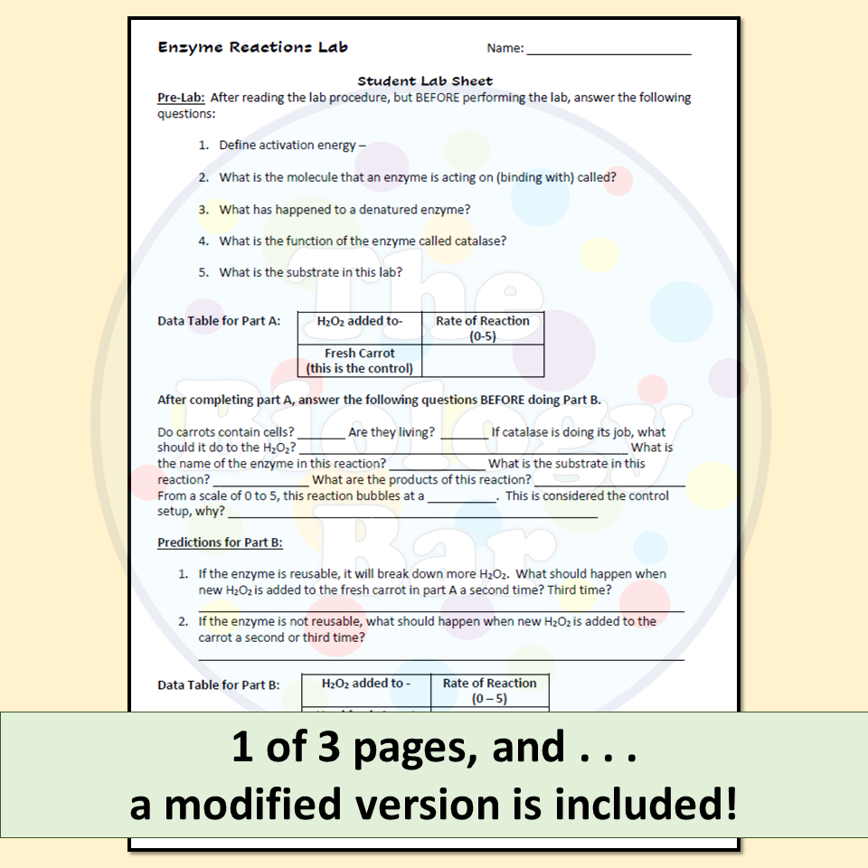 Enzyme Lab Carrot and Catalase Differentiated and CER option | Made By ...
