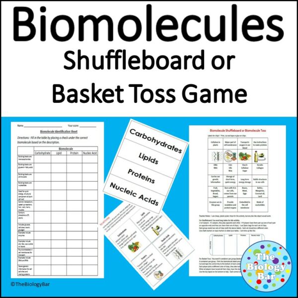 Biomolecules Interactive PPT | Made By Teachers