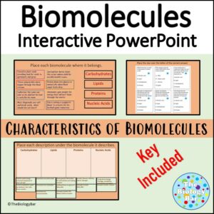 Biomolecules Interactive PPT | Made By Teachers