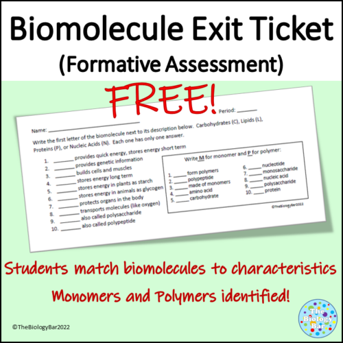 Biomolecules Exit Ticket Formative Assessment - Made By Teachers