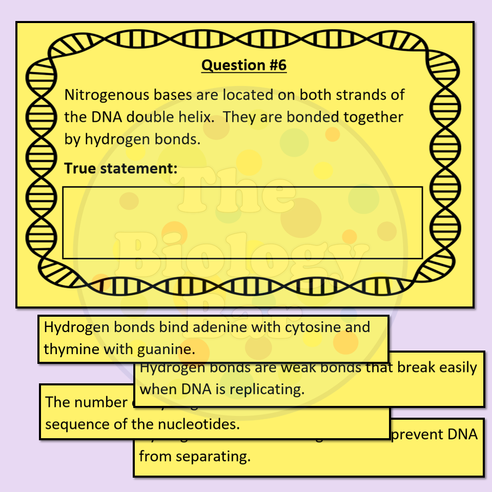 DNA One Truth and Three Falses Card Activity - Made By Teachers