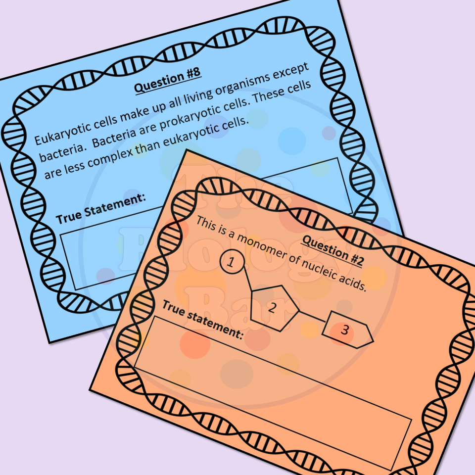 DNA One Truth and Three Falses Card Activity | Made By Teachers