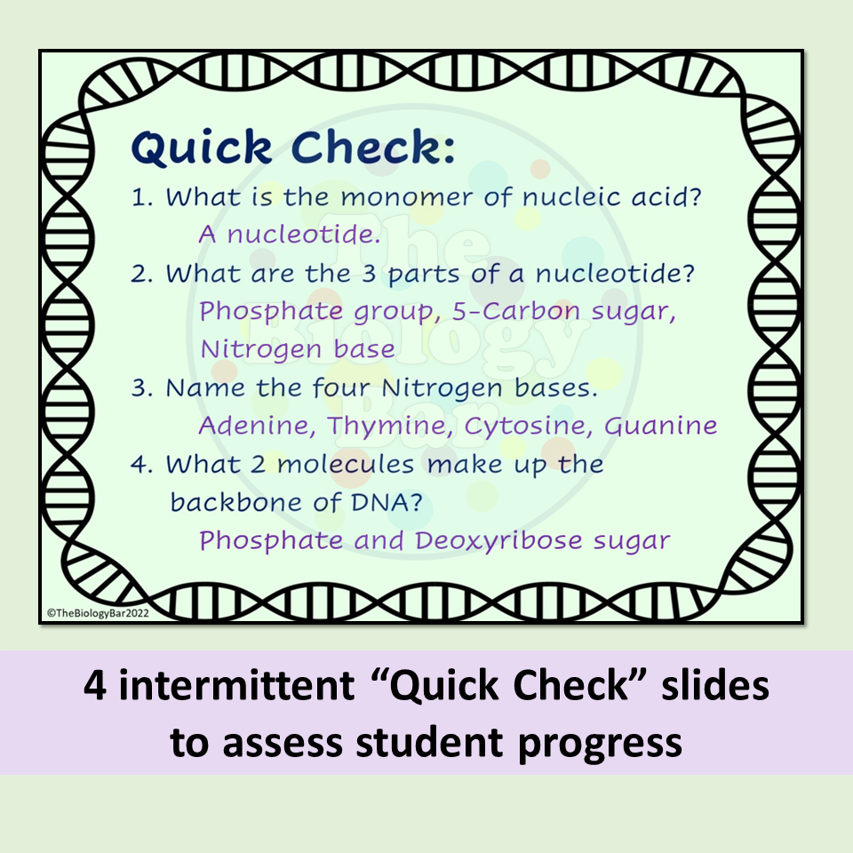 DNA Structure Notes Animated Power Point with Student Guided Notes ...