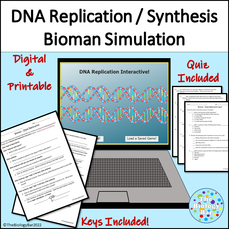 Bioman Simulation DNA Replication DNA Synthesis Worksheet With Quiz Bioman Simulation DNA Replication DNA Synthesis Worksheet With Quiz
