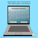 Bioman Simulation DNA Replication DNA Synthesis Worksheet with Quiz ...