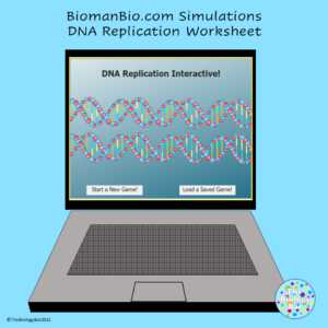 Bioman Simulation DNA Replication DNA Synthesis Worksheet with Quiz ...