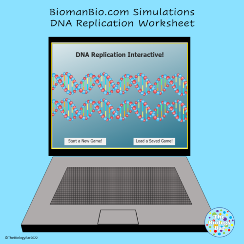 Bioman Simulation DNA Replication DNA Synthesis Worksheet with Quiz ...