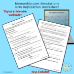 Bioman Simulation DNA Replication DNA Synthesis Worksheet with Quiz ...