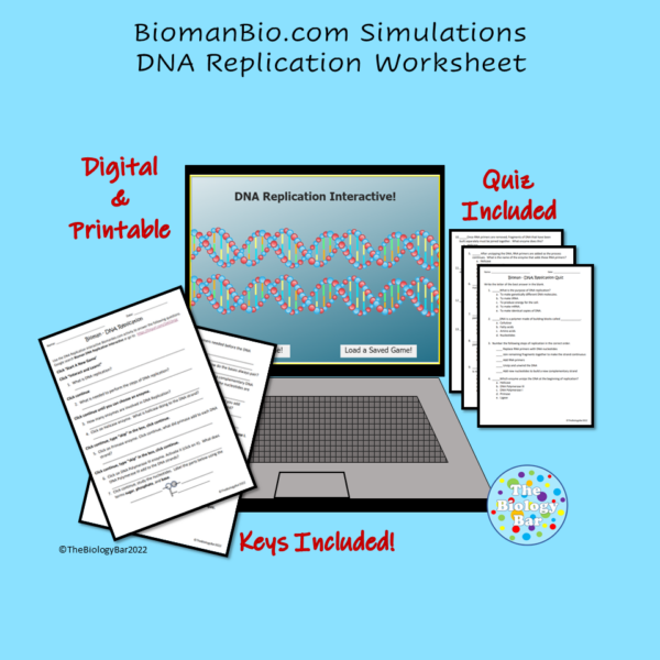 Bioman Simulation DNA Replication DNA Synthesis Worksheet with Quiz ...