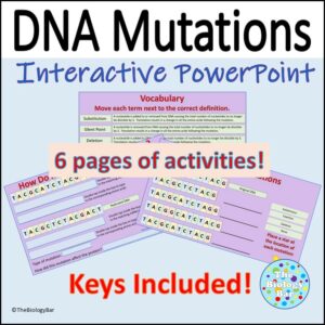 Mutations Identify and Explain Interactive Genetics PPT - Made By Teachers