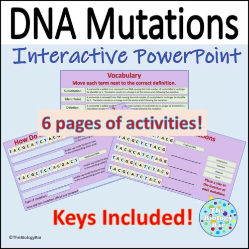 Mutations Identify and Explain Interactive Genetics PPT | Made By Teachers