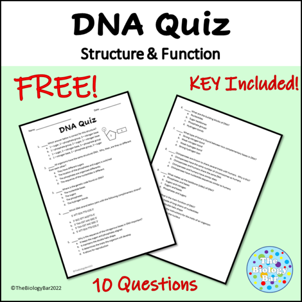 DNA Quiz Multiple Choice Digital Format included | Made By Teachers