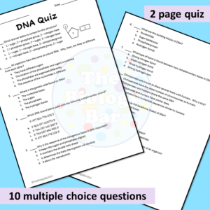DNA Quiz Multiple Choice Digital Format included | Made By Teachers