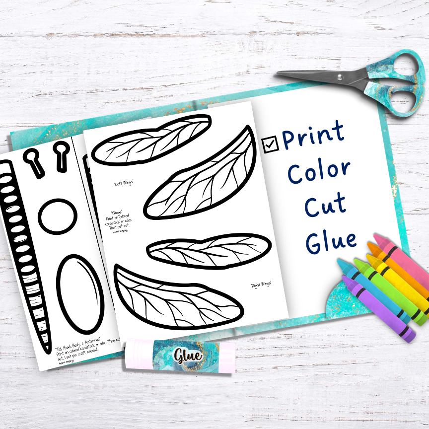 Dragonfly Craft | Spring Craft | Insect Craft | Made By Teachers